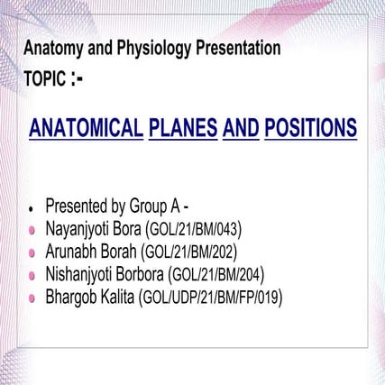 Anatomical planes and positions.pptx