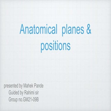 anatomical planes and positions ppt.pptx