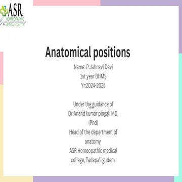 Anatomical positions Supine and prone position | PPT