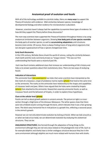 HUMAN EVOLUTION | PDF | Biological Sciences | Science