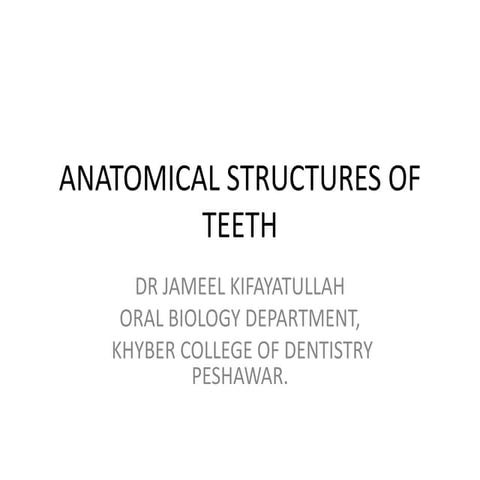 Anatomical structures of teeth | PPTX