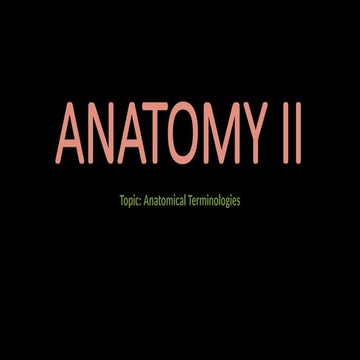 Anatomical positions and examples | PDF