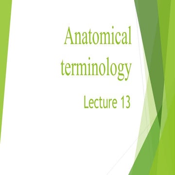 Anatomical terminology lecture. specialized translation | PPTX ...