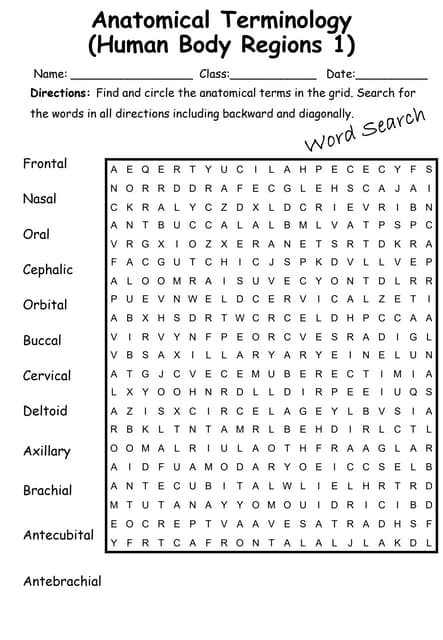 Word search verbs | PDF