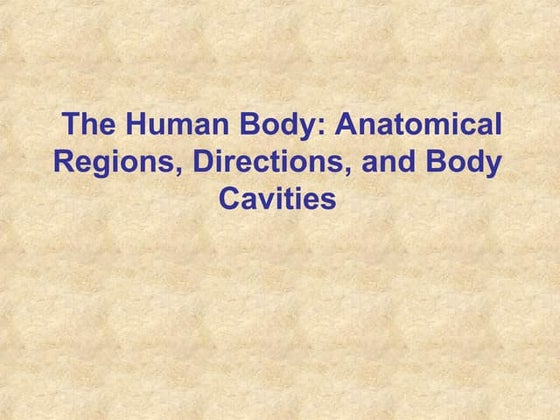 Anatomical planes & cavities | PPTX