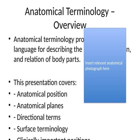 Anatomical_Terminology_Presentation.pptx