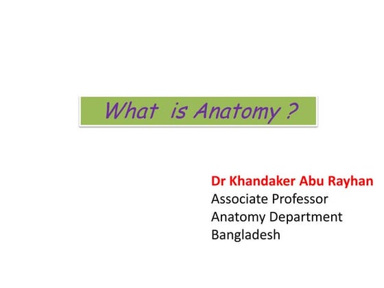 Basic anatomical terminology | PPT