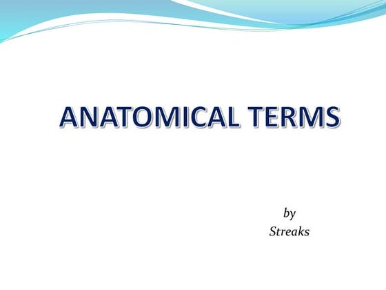 Basic anatomical terminology | PPT