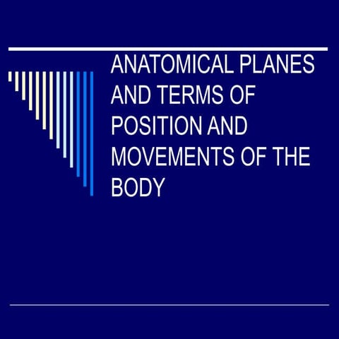 Radiographic positioning terminology By A.H Nelson Medical Physicist | PDF