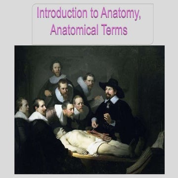 Anatomical Terms AN1.1.pptx