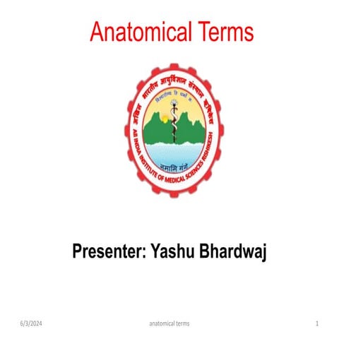 Anatomical Terms and radiological anatomy.pptx