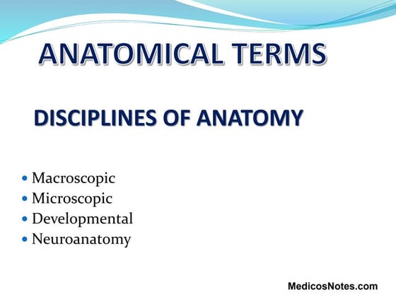 Anatomical position.ppt (1) | PPT | Death, Injury, or Military Conflict ...