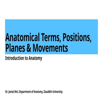 Anatomical Terms, Planes, Positions & Movements-3.pptx