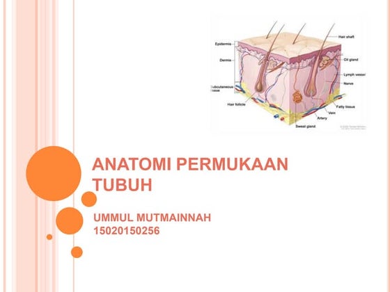 1. Struktur dan Fungsi Kulit.pptx
