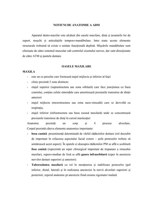 Anatomie: dinții și gingiile | RTF
