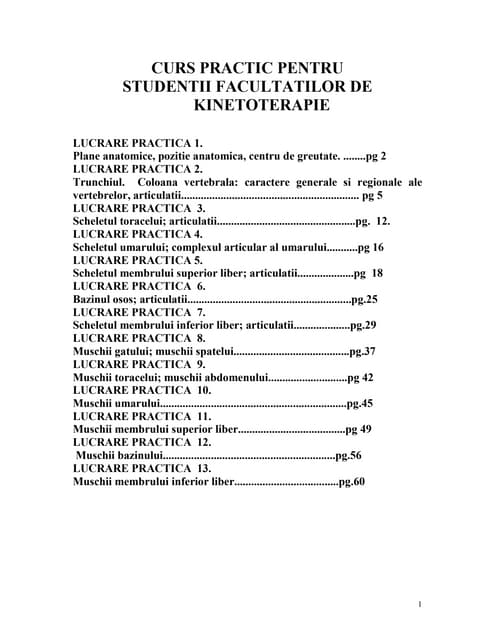 Spatele plan pdf