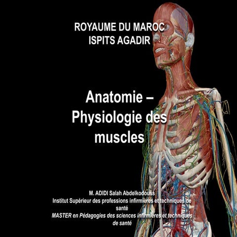 Anatomie physio muscles.pptx.pdf