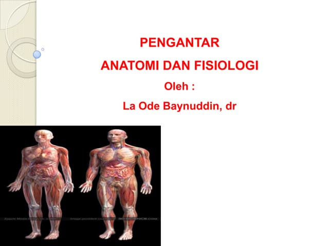 Pengantar Anatomi Fisiologi Manusia | PPT