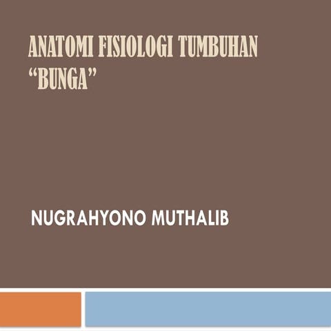 Anatomi_Fisiologi_Bunga_pptx.pptx. ppt ini menjelaskan tentang anatomi bunga | PPTX