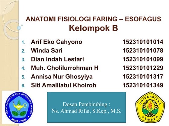 Teknik Radiografi 3 Pemeriksaan Benda Asing (corpus alienum) | PPT