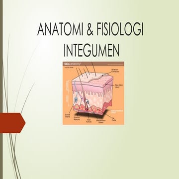 Materi anatomi dan fisiologi sistem integumentum | PPTX