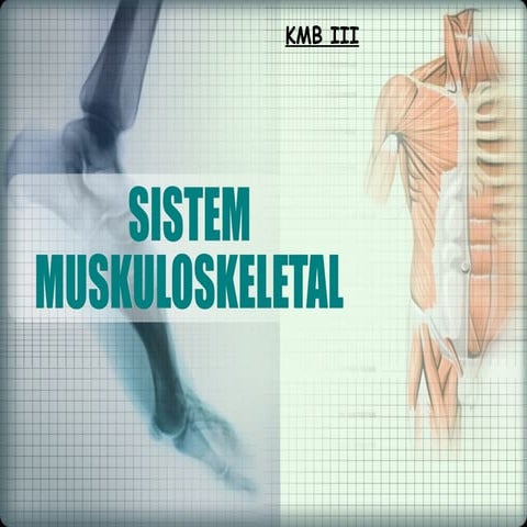 ANATOMI FISIOLOGI MUSKULOSKELETAL KMB III.ppt