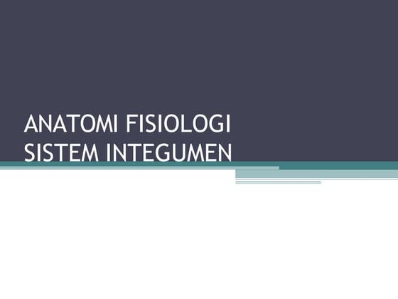Sistem Integumen | PPTX