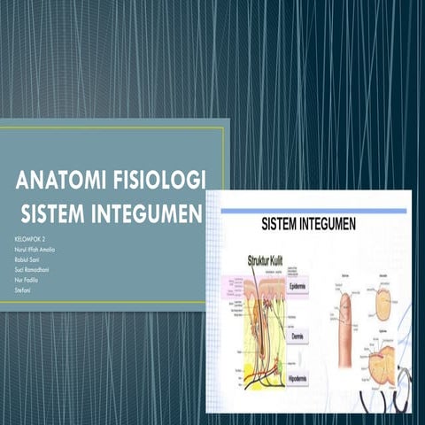 Sistem Integumen | PPTX