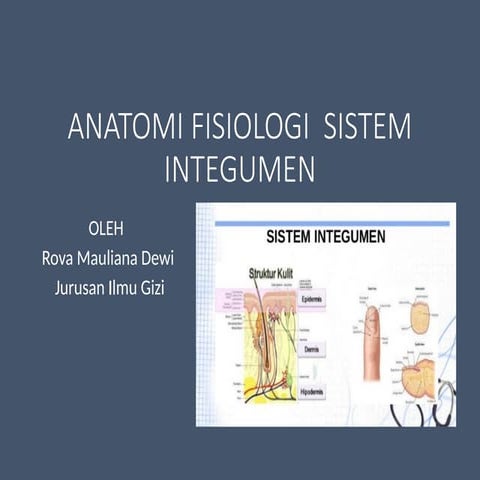 Sistem Integumen | PPTX