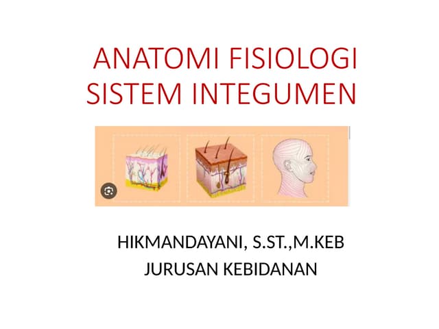 Sistem Integumen | PPTX