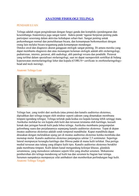 indera pendengaran | PPT