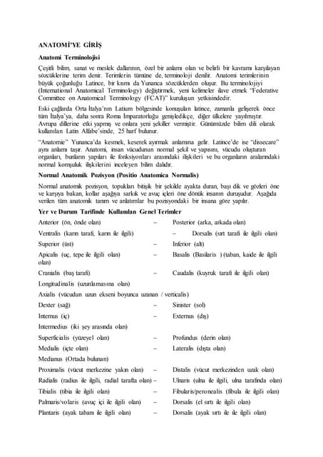 Anatomiye giris ve temel kavramlar | DOC