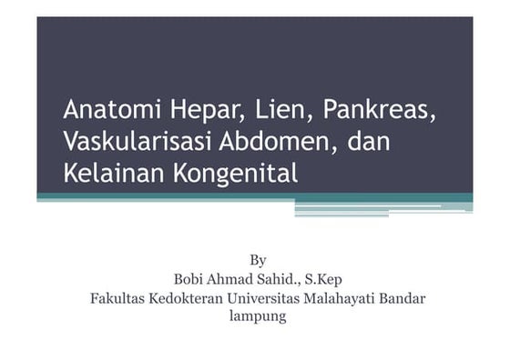 Materi Anatomi Organ Abdomen dan sekitarnya | PPTX