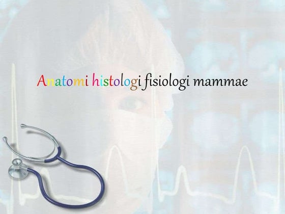 ANATOMI MAMAE ANATOMI MAMAE ANATOMI MAMAE ANATOMI MAMAE | PPT