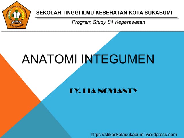 Sistem Integumen | PPTX
