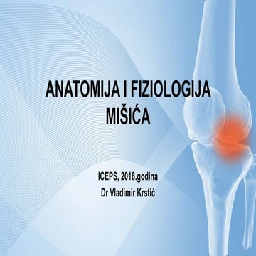 Mišićni sistem | PPT