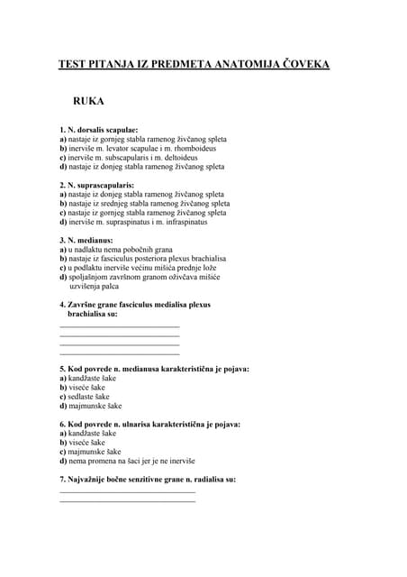 Misici zidova grudnog kosa | PDF