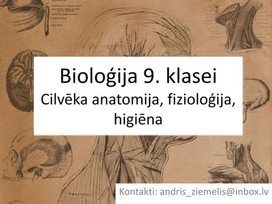E-klases lietošana pirmsskolas izglītības iestādēs | PPTX