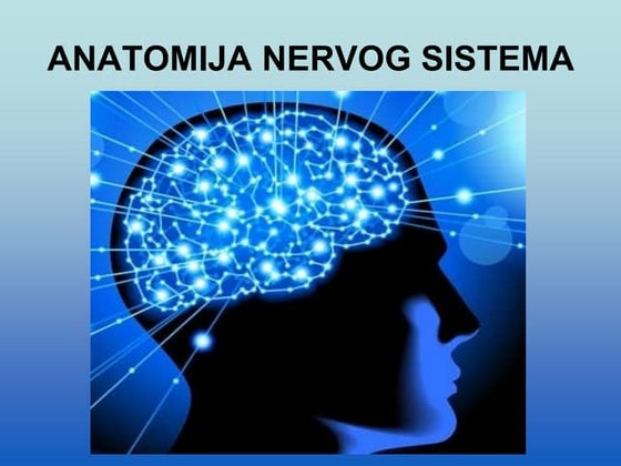Štitasta zlezda | PPT