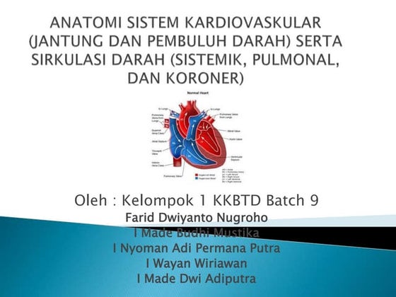 CARDIOVASCULAR & RESPIRATORY FUNCTION.pptx