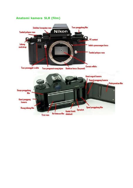 film-Anatomy of film camera | PPT