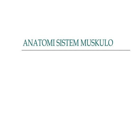 ANATOMI MUSKULO mata kuliah anatomi .ppt