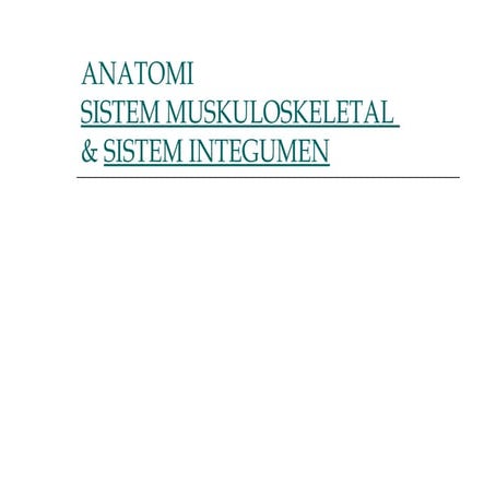 Anatomi_fisiologi_muskuloskeletal_ppt.ppt