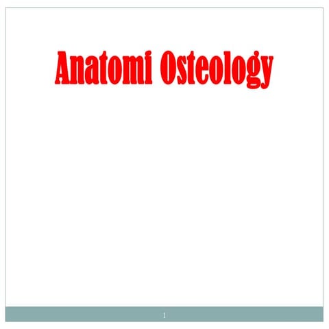 Anatomi Osteology (Anatomi Tulang) .pptx