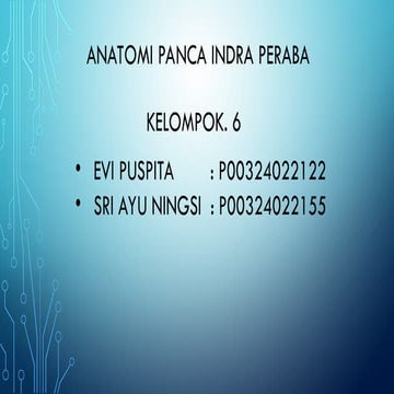 ANATOMI PANCA INDRA PERABA. Kelompok 6.ppt