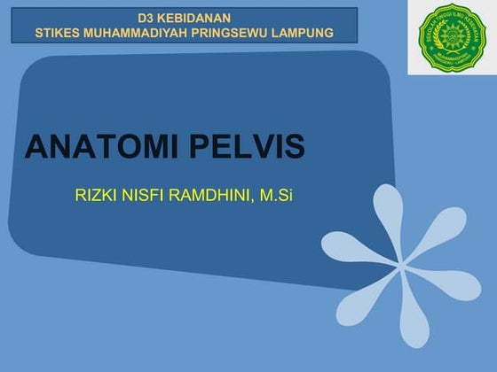tipe PINGGANG DR NIA.pptx