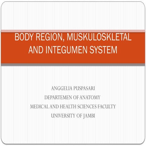 Anatomi Regio Badan, Sistem Muskuloskeletal, Sistem Integumen ( dr ...