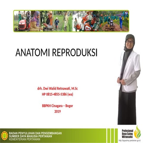 Anatomi Reproduksi dwi walid retnawati.pptx