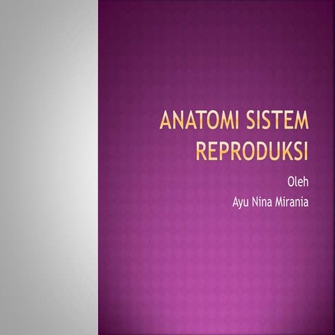 Anatomi sistem reproduksi | PDF