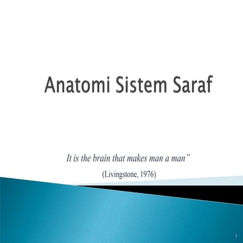 Anatomi Sistem Saraf | PDF